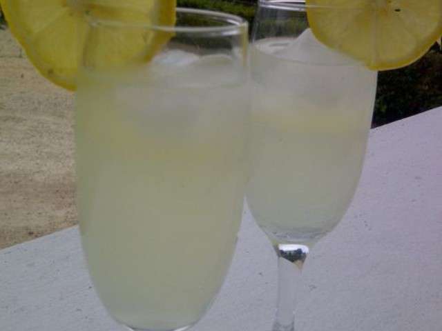 Les Meilleures Recettes de Limonade et Citrons