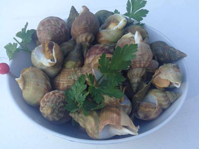 Recettes de Bulots - 2