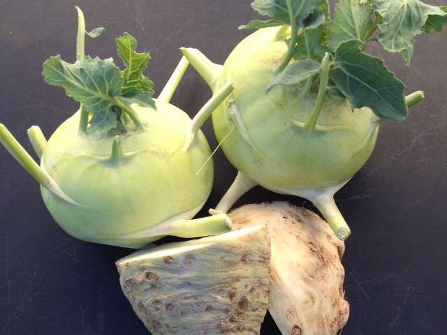 Recettes de Radis de 1000-astuces-gourmandes