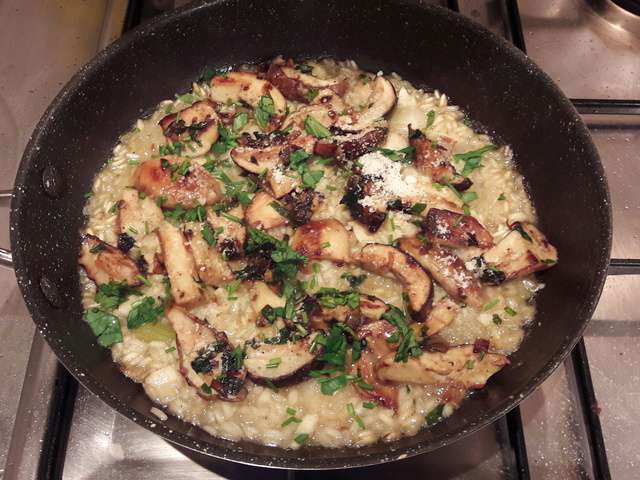 Recettes de Cèpes de 1000-astuces-gourmandes