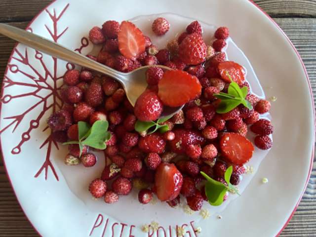 Recettes de Fraises des bois de À chacun sa cuisine... Recettes de Fraises des bois de À chacun sa cuisine...