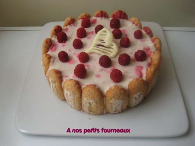 Recettes de Gâteau Tiramisu et Framboises