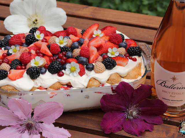 Recettes de Tiramisu aux Fruits Rouges de A Prendre Sans Faim