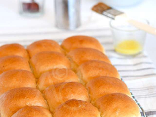 Recettes de Buns de Alter Gusto