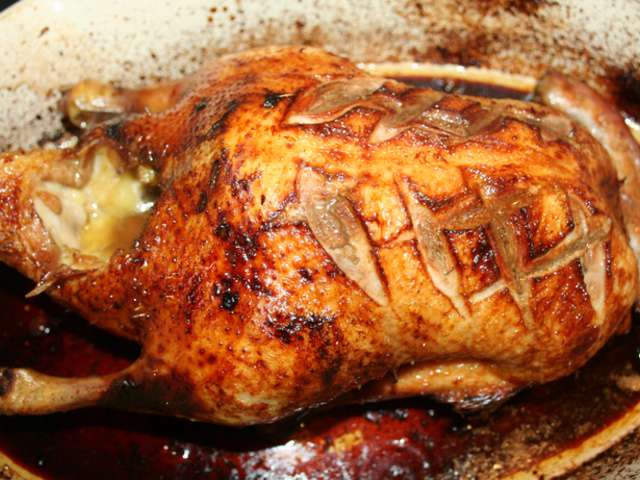 Marmiton canette de barbarie - lami41brewka