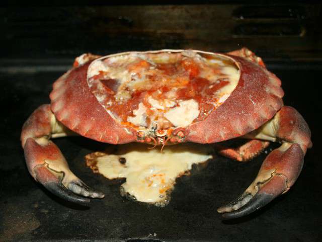 Recettes de Tourteau - 4