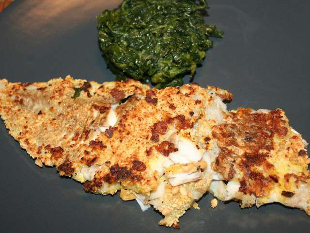 Recettes de Plancha et Poisson