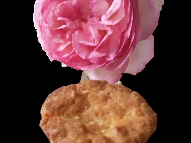 Recettes de Sablé et Base