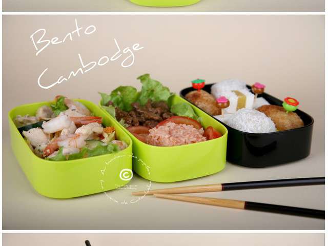 Recettes de Tour du Monde en Bento de Au bonheur des papilles