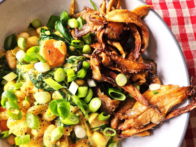 Recettes de Pleurotes de au cochon heureux