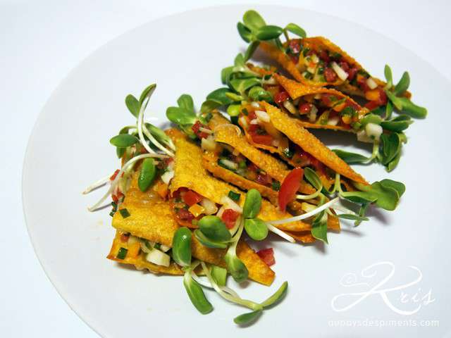 Recettes de Pâte à wonton