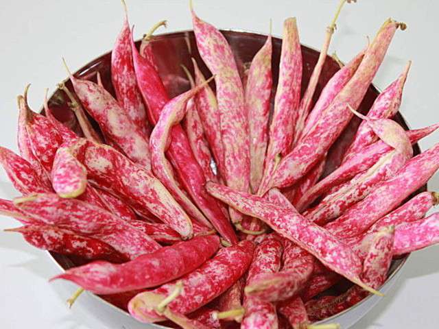 Recettes de Sar de aussibeauquebon