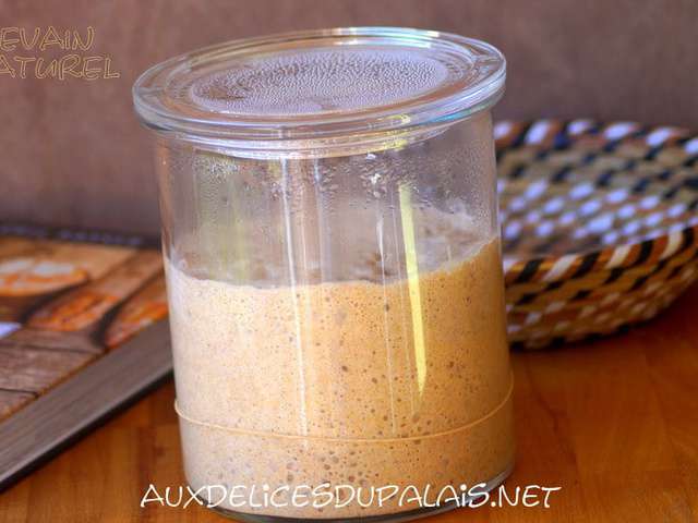 Recettes de Levain de Aux délices du palais de saléha