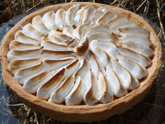 Recettes de Tarte aux Citrons de Auxdélicesdaline