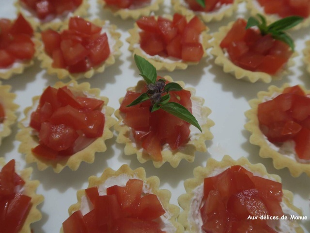 Recettes d'Amuse Bouche et Tartelette
