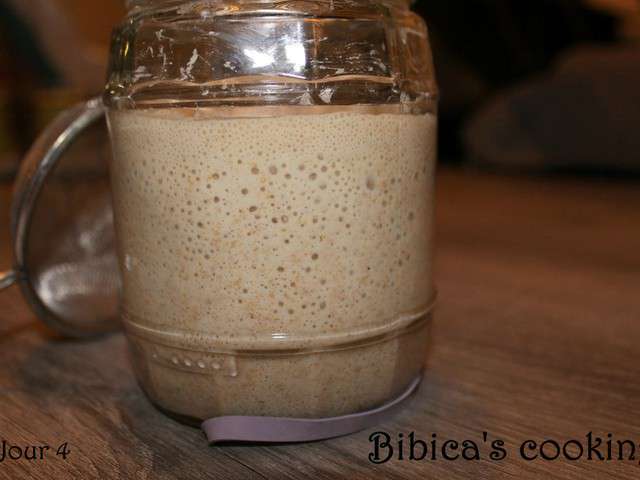 Recettes de Levain naturel de Bibica et son poids