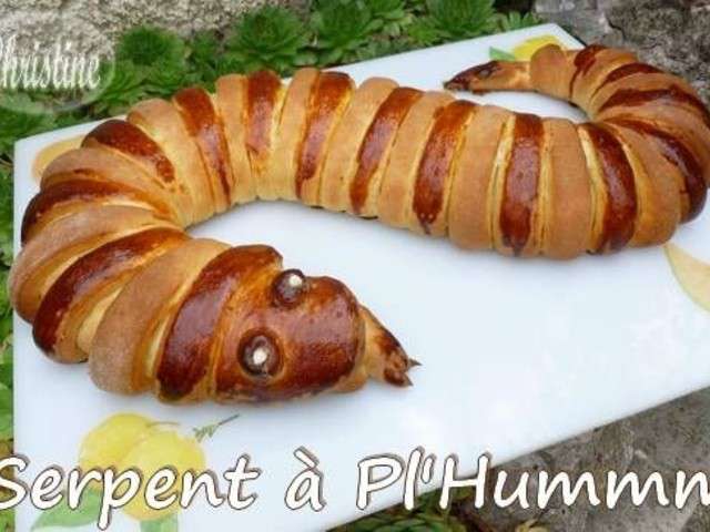 Recettes de Serpent - 2