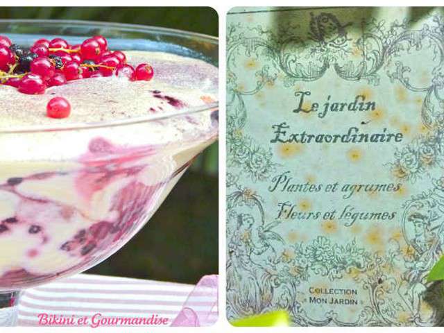 Recettes de Tiramisu aux Fruits Rouges de Bikini et gourmandise