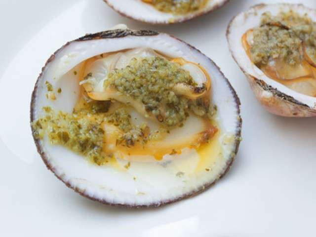 Recettes de Palourdes de Bikini et gourmandise