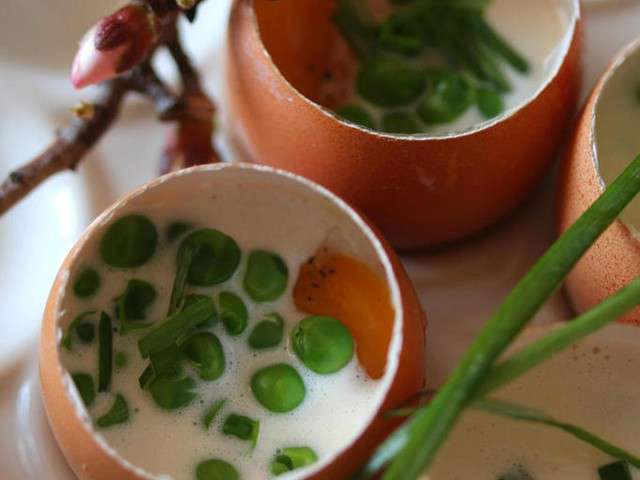 Recettes de Chaud-froid et Œufs