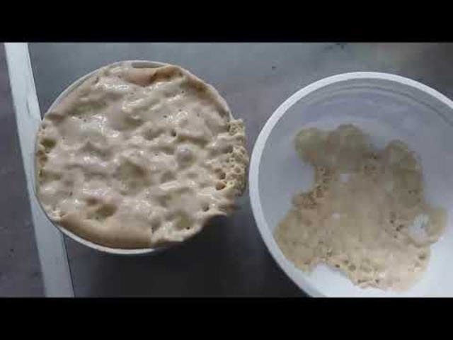 Recettes de Levain Dur Facile