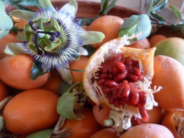 Recettes de Fruit de la passion de Blog Cardamome