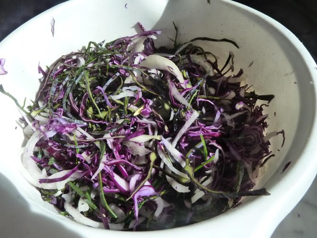 Recettes de Chou rouge