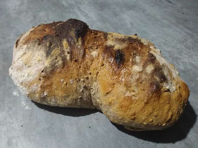 Recettes de Levain Dur