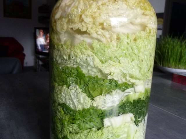 Recettes de Feuilles de Chou