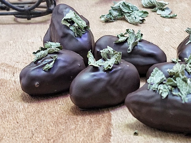 Recettes de Menthe et Chocolat