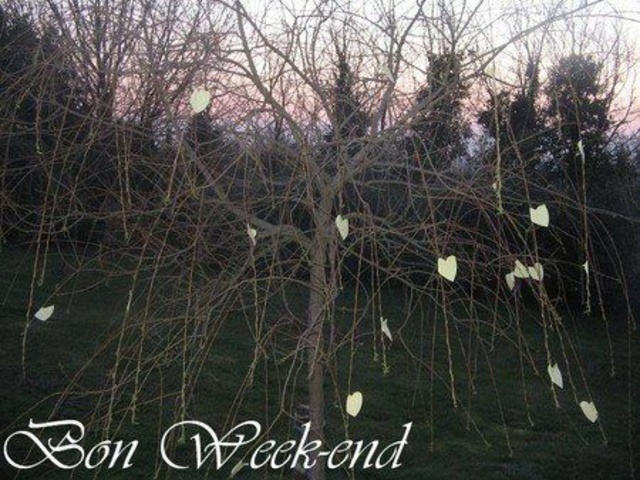 Recettes de Coeur de Bon Ap chez Mamounette