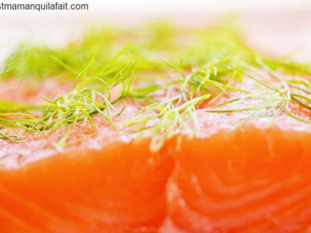 Recettes de Saumon Cru