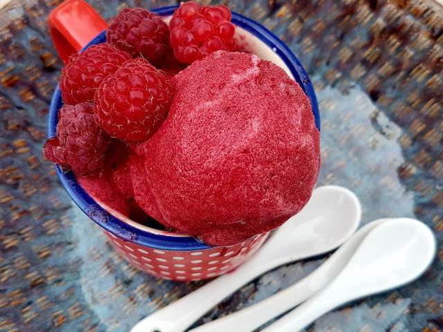Recettes de Sorbets