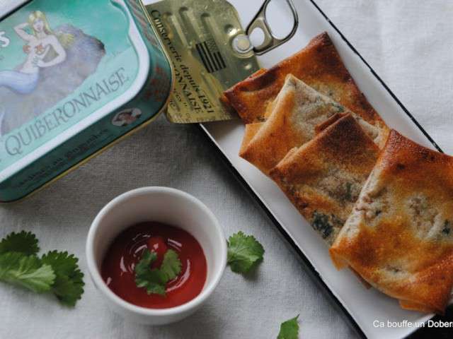 Recettes de Bricks de Ca bouffe un Doberman