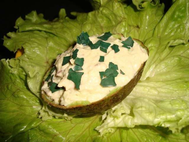 Recettes de Mayonnaise et Avocat