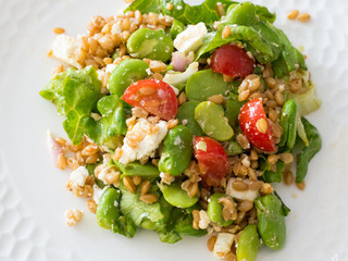Recettes de Salade de feves