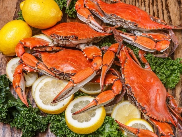 Recette Crabe facile - Les recettes de Crabe les plus faciles et rapides