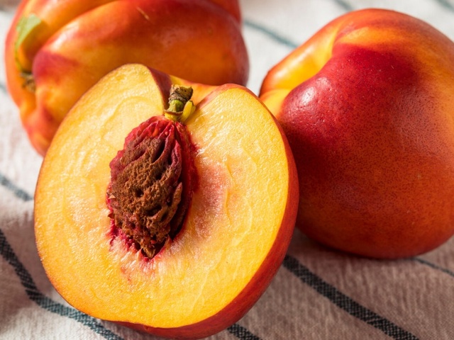 Recettes de Nectarines