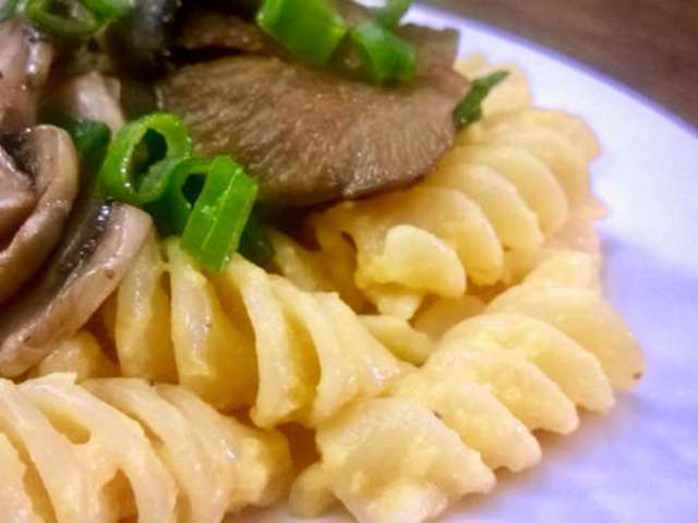 Recettes de Pleurotes et Paris