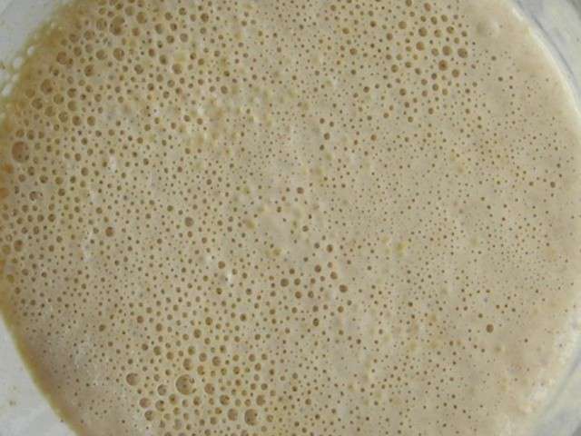 Recettes de Levain de Papolette