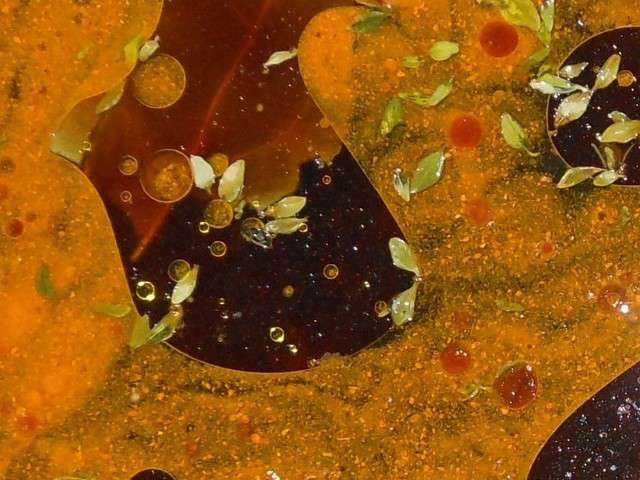 Recettes de Marinades de Papolette