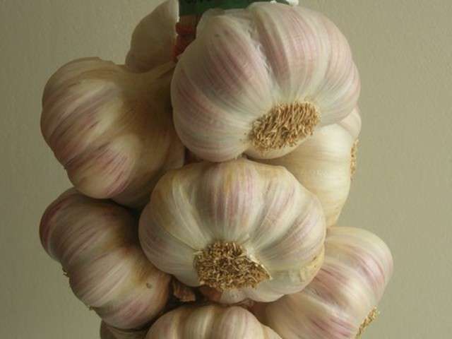 Recettes de Sauces de Papolette