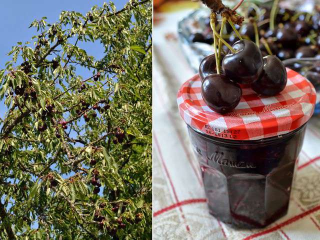Recettes de Confiture de Cerises et Fruits rouges