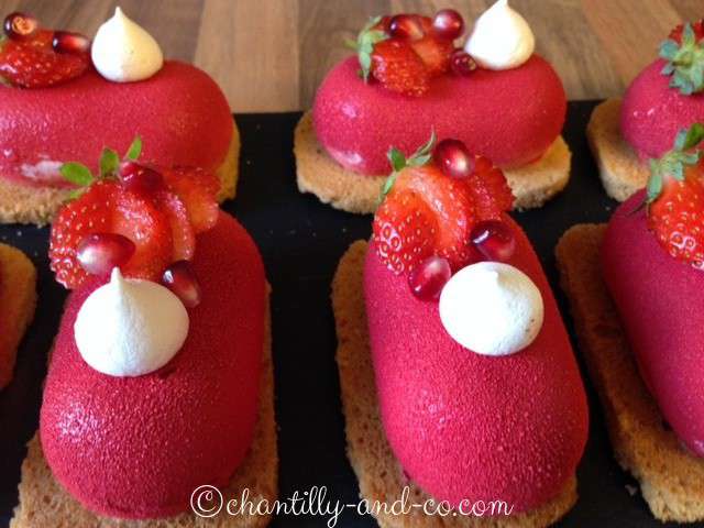 Recettes d'Yaourt de chantilly and co