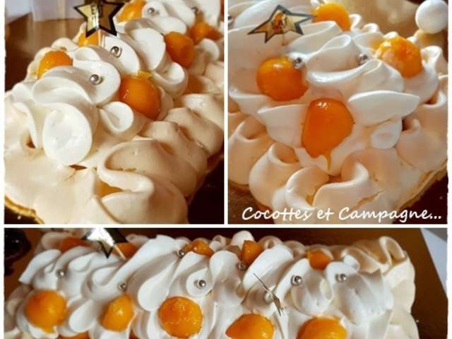Recettes de Mangue de Cocottes et Campagne