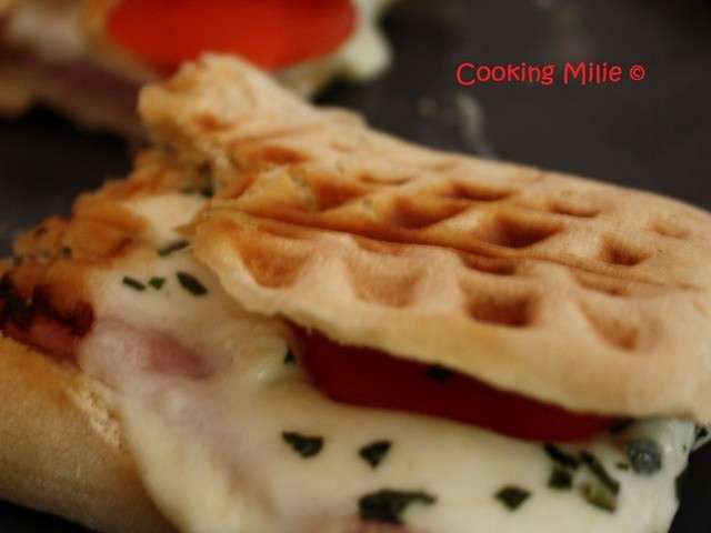 Les Meilleures Recettes de Panini et Cuisine express