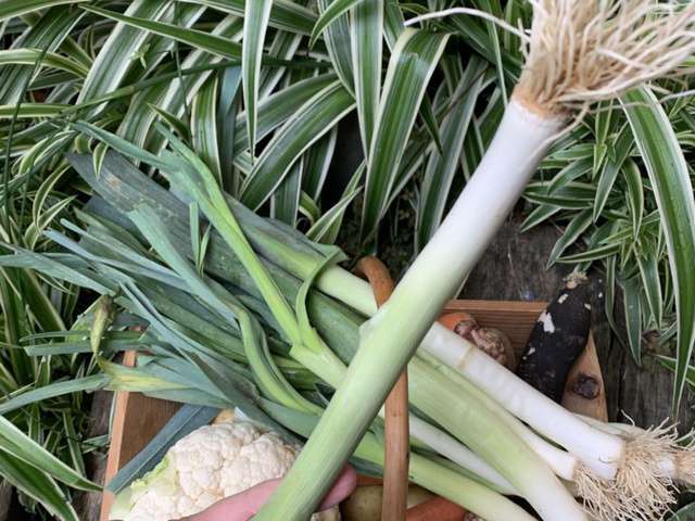 Recettes de Poireaux de Cooking Out