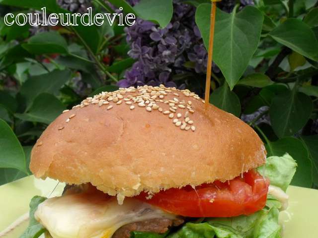 Recettes de Hamburger de couleurdevie