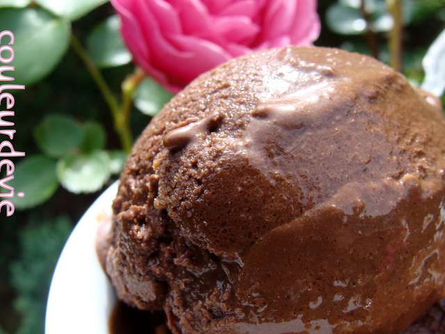 Les Meilleures Recettes de Sorbets et Chocolat