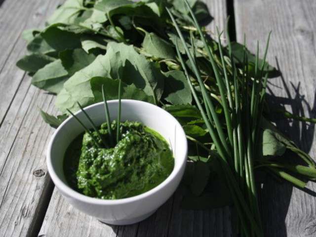 Recettes de Chou de Crudivorisme.com